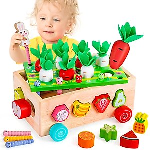 EDUJOY Toys for 1 2 Year Old Girl Gifts, Wooden Shape Sorter Toys for Toddlers 1-3, Baby Boy Girl Toys 12-18 Month, Fine Motor Skills Game Montessori Learning Toys for Toddler Christmas Birthday Gifts