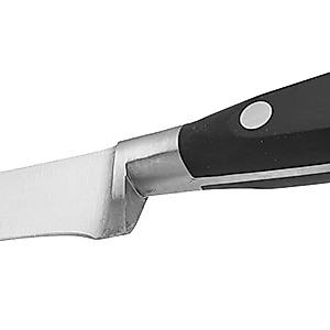 ARCOS Carving Knife 10 Inch Stainless Steel. Ham Slicer Knife for Cutting Ham and Meat. Ergonomic Polyoxymethylene Handle and 250mm Blade. Series Riviera. Color Black