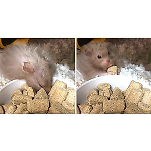 Rodent Blocks - Nutritional Rodent Food - for Rats, Mice, Squirrels, Degus (3 lb.)