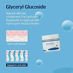 ROUND LAB Birch Juice Moisturizing Cream 2.7 Fl Oz, 48-Hour Deep Hydrating Face Moisturizer with Birch Sap & Vita Hyaluronic Acid for Acne-Prone Skin, Reduces Sebum, Oil, Blackheads, Korean Skin Care