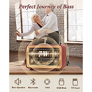 PRUNUS Retro Bluetooth Radio with Rich Bass Speakers,Loud Stereo Sound,Portable Wireless Speakers AM FM Radio with USB, TWS Pairing, BT5.0, TF Card & MP3 Player for Home/Party/Outdoor/Gift