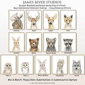 Woodland Animal Nursery Prints Unframed Set of 4, Pick Your Baby Animals and Size, Original Watercolor Portraits Art Signed By Artist