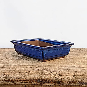 Bonsai Pots for Decorative Planting, Nine-Inch Blue Glazed Bonsai Planter, Drainage Mesh Screen Included, Used as Starter Ceramic Pots for Bonsai, Succulents or a Wide Variety of Houseplants