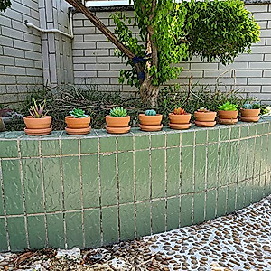 Yishang 3.5 Inch Shallow Terra Cotta pots with Saucer/Tray,Ceramic Clay Planter with Drain Hole for Succulent & Cactus Nursery Planter, DIY Craft Projects, Wedding and Party Favors