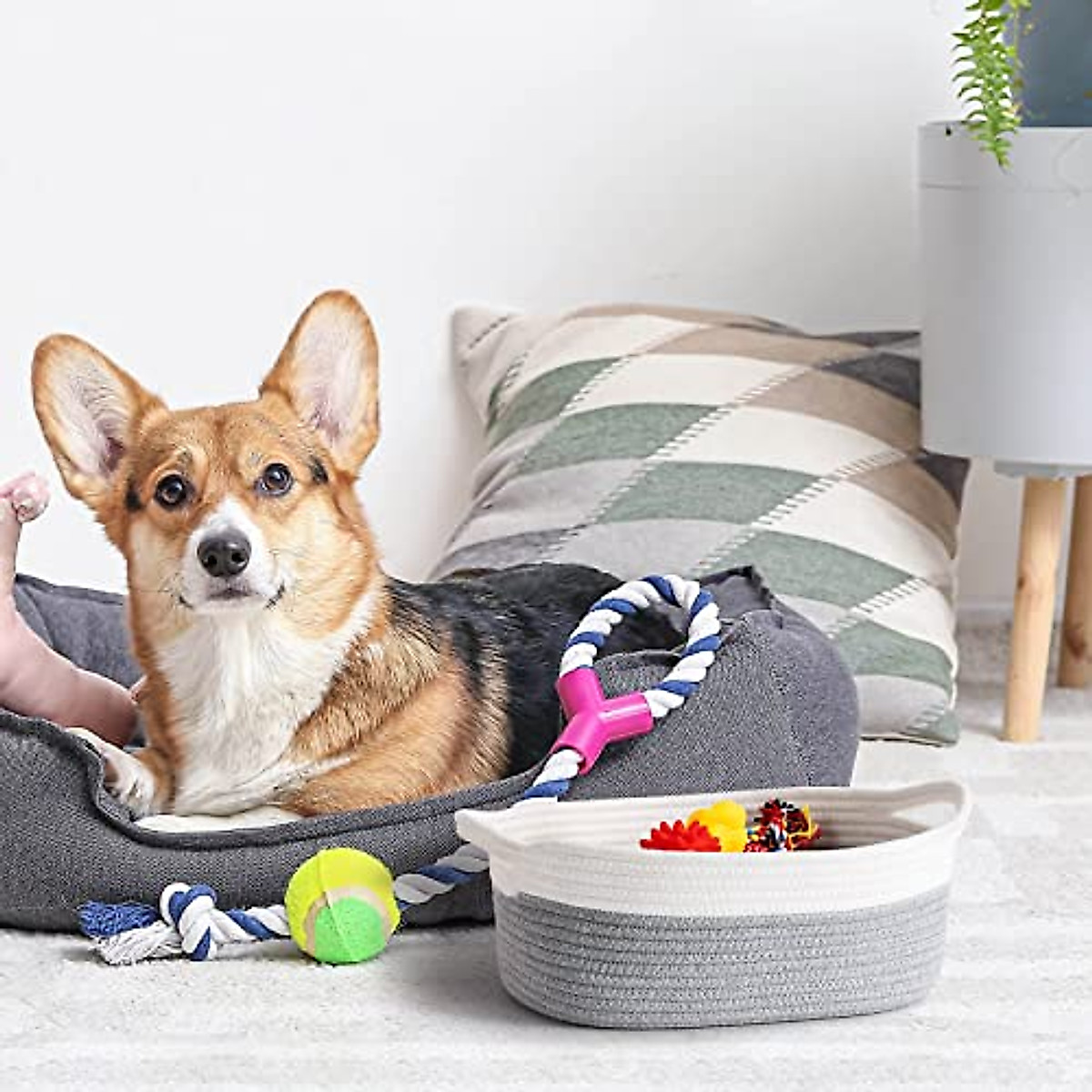 Goodpick Small Woven Basket Cute Gray Rope Basket Cotton Basket Baby Room Storage Basket Dog Toy Basket with Handles Empty Gift Basket for Shelf 12"x 8" x 5" Easter Basket Oval Candy Color Design