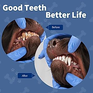 Ganciu Plaque Remover for Teeth,Dog Tooth Cleaning Kit,3 Modes Ultrasonic Dog Tartar Remover for Teeth with LED Light,Low Noise Dog Teeth Cleaning Tool for Pet Dental Care,White