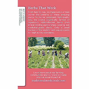 Traditional Medicinals Organic Pregnancy Tea Raspberry Leaf Herbal Tea, Supports Healthy Pregnancy, (Pack of 3) - 48 Tea Bags Total