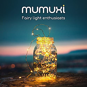 MUMUXI LED Fairy Lights Battery Operated String Lights [12 Pack] 7.2ft 20 Battery Powered LED Lights | Mini Lights, Centerpiece Table Decorations, Wedding Party Bedroom Mason Jar Christmas, Warm White