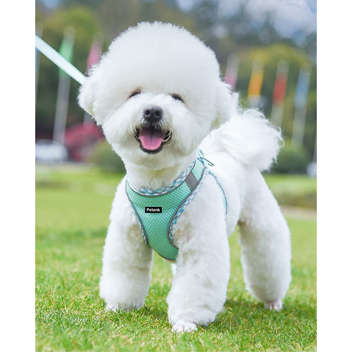 Petank Green Dog Harness (XS), No Pull, Puppy Harness and Leash Set, Jacquard Mesh, Easy Walk Dog Harness for Small Medium Dogs, Reflective Strip, Training, Running, Walking