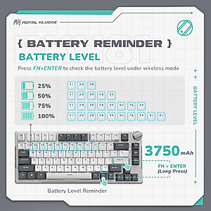 RK ROYAL KLUDGE H81 Hot Swappable Mechanical Keyboard, Triple Mode 2.4Ghz/BT5.1/USB-C Knob Control Wireless Gaming Keyboard Gasket Mounted with RGB Backlit SkyCyan Switch, 75% Layout 81 Keys, White