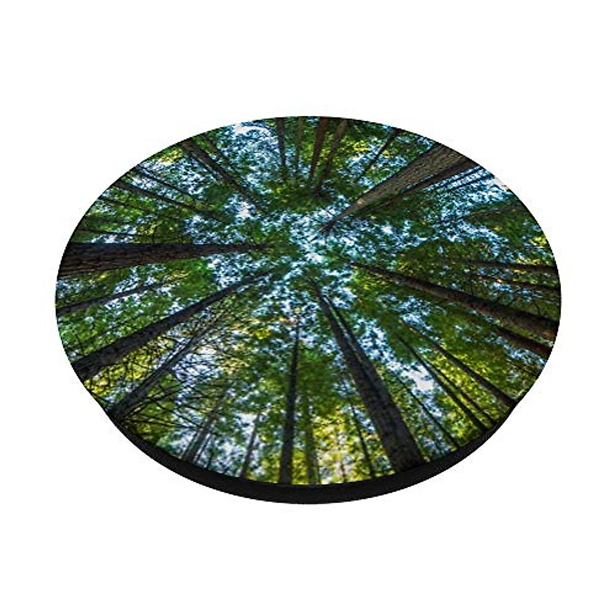 Nature Giant Redwood Trees PopSockets PopGrip: Swappable Grip for Phones & Tablets