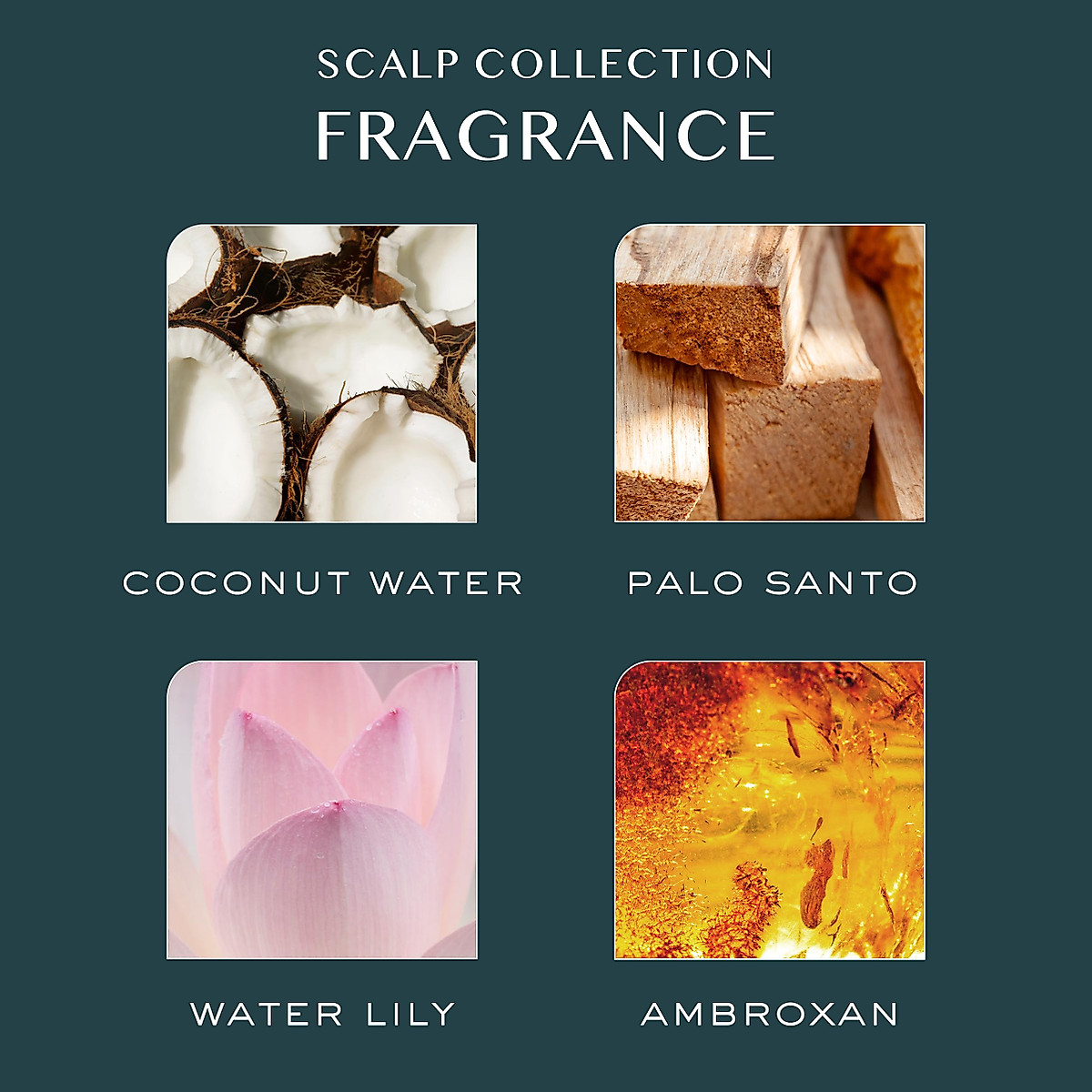 Kristin Ess Hair Instant Exfoliating Scalp Scrub for Build Up and Dandruff + Soothing, Hydrating + Rebalancing Dry Scalp Treatment, Non Drying, Cleanse + Detox, Vegan, Color Safe, 6.7 fl oz