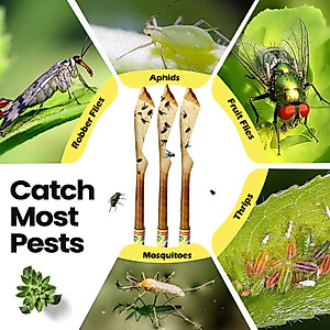 Qualirey 160 Pack Fly Strips Sticky Fly Trap Indoor Outdoor Hanging Fly Ribbon Tape Paper Flying Insect Trap Gnat Killer Traps for Fruit Flies, Bug, Insect, Pest (Yellow)