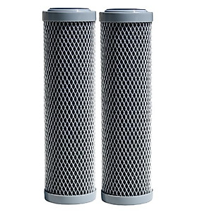 Watts Premier 500145 Plex Replacement, 2-Pack, 2 Count (Pack of 1), Plain