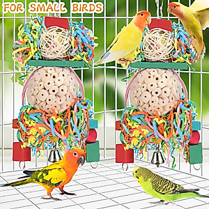 BBjinronjy Bird Toys,2PCS Conure Toys Hanging Natural Soft Sola Ball Beak Chew Shred Forage Toys for Parrots,Cockatiel,Conure,Love Birds,Parakeets,Budgie and Other Small Birds