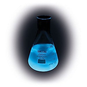Bioluminescent Dinoflagellates, Living