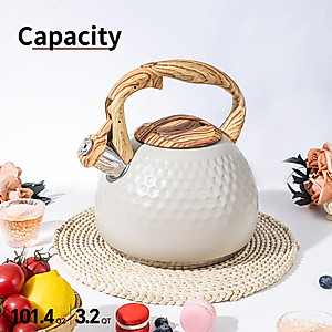 Zalnuuk Tea Kettle, Tea Pot with Cool Touch Ergonomic Handle, Tea Kettle Food Grade Stainless Steel, Tea Kettle Stovetop, Kettle Teapot, Whistling Tea Kettle, Small Tea Kettle, 3.2 Quart