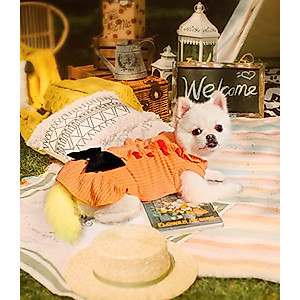 Topkins Dog Birthday Dresses, Dog Princess Dress, Turtleneck Puppy Skirt with Velvet Bowknot for Small Medium Dogs Girl (Orange, L)