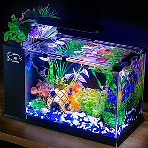 5 Gallon Fish Tank Glass Small Aquarium Starter Kits Self Cleaning with LED Light & Filter for Betta Shrimp Guppy Jellyfish Goldfish Beta,Room Decor Desktop, Gifts