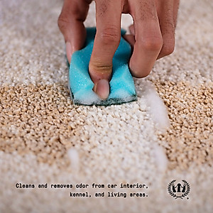 Muse Apothecary Complete Pet Stain and Odor Remover Enzyme Carpet Cleaner - Dog Stain Remover and Odor Neutralizer, Essential Oils Infused, Pet Stain Remover for Carpet - Pet Stain Carpet Cleaner 16oz