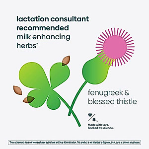 UpSpring Milkflow Electrolyte Breastfeeding Supplement Drink Mix with Fenugreek | Berry Flavor | Lactation Supplement to Support Breast Milk Supply & Restore Electrolytes* | 16 Drink Mixes