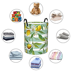 oacyit Laundry Basket Lemon Fruits Laundry Hamper Waterproof Idea Hampers for Laundry,Large Collapsible Laundry Baskets with Handle Suitable for Bedroom Bathroom Utility Room Kitchen