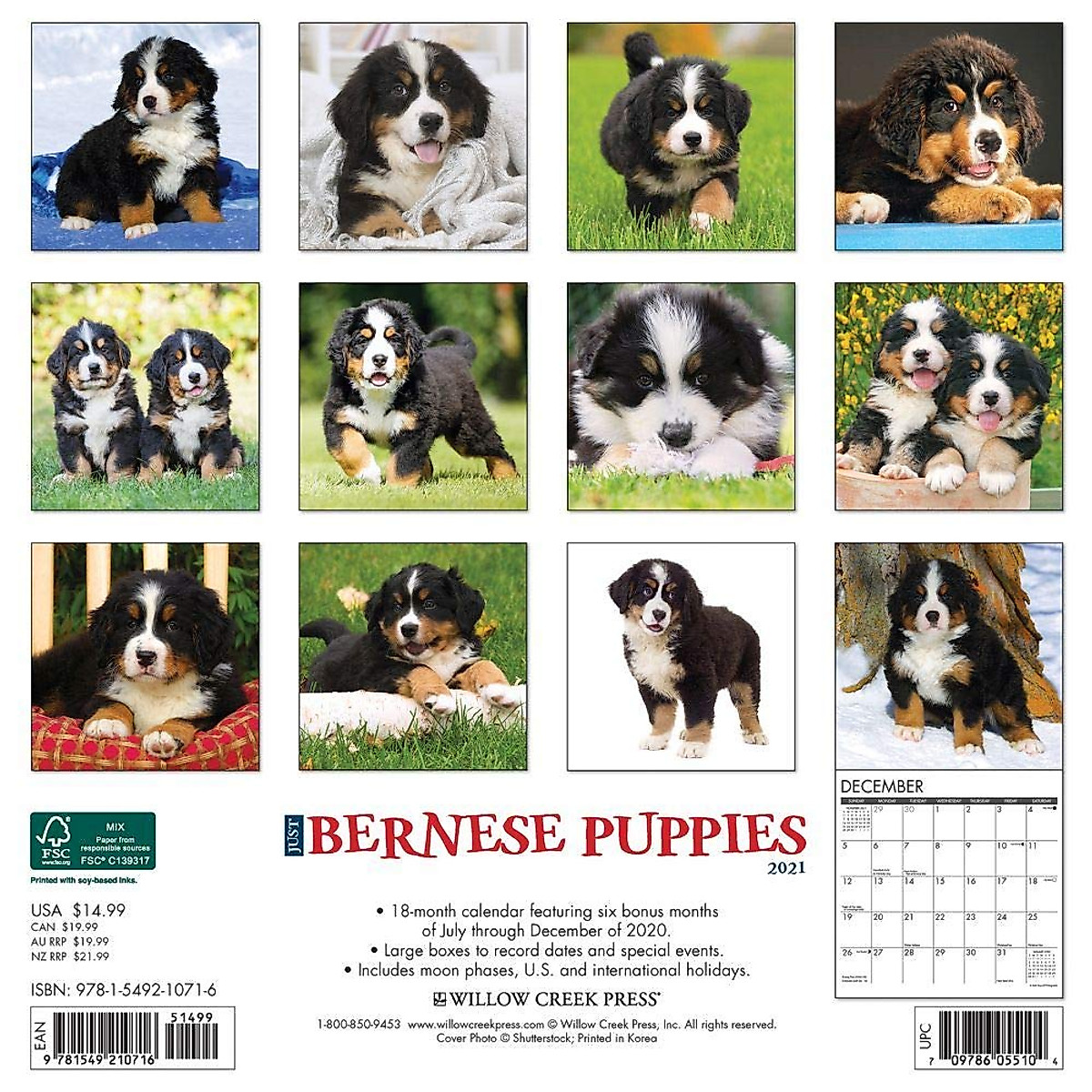 Just Bernese Mountain Puppies 2021 Wall Calendar (Dog Breed Calendar)