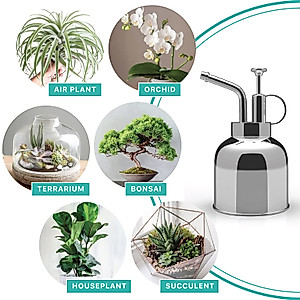 LOOPSEED Plant Mister Spray Bottle Stainless Steel Watering Can for Indoor Plants Succulent Bonsai Garden Houseplant Spritzer Modern Garden Tools 10oz/300ml (Silver)