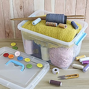 Doryh 12 L Plastic Storage Bin with Lid, Clear Transparent Box with Handles Set of 1