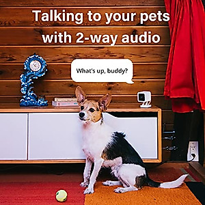 Wyze Cam v3 Pet Camera for Cats & Dogs Compact Indoor Plug-in Smart Security Camera, 1080p Color Night Vision, Compatible with Alexa – 2 Cameras