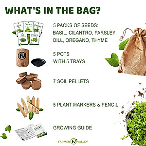 Indoor Herb Starter Grow Kit - 5 Different Medicinal & Tea Herb Seeds - Parsley, Basil, Cilantro (Coriander), Dill, Oregano - Non GMO and Heirloom - Including Pots and Soil - Made in USA
