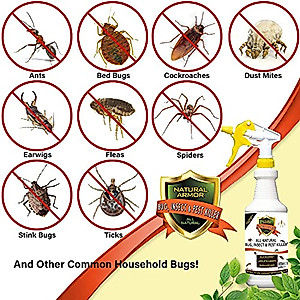 Natural Armor Natural Bug, Insect & Pest Killer & Control Including Fleas, Ticks, Ants, Spiders, Bed Bugs, Dust Mites, Roaches and More for Indoor and Outdoor Use, 128 oz Gallon Refill Case of 4