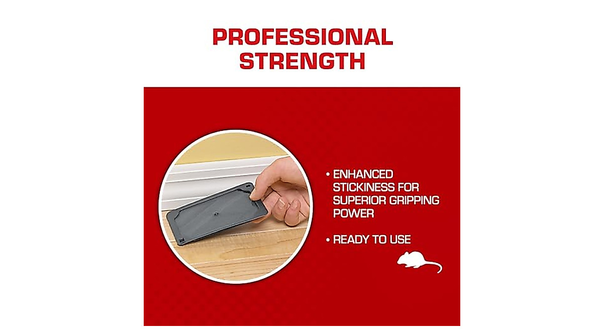 Tomcat Mouse Trap with Immediate Grip Glue for Mice, Cockroaches ...
