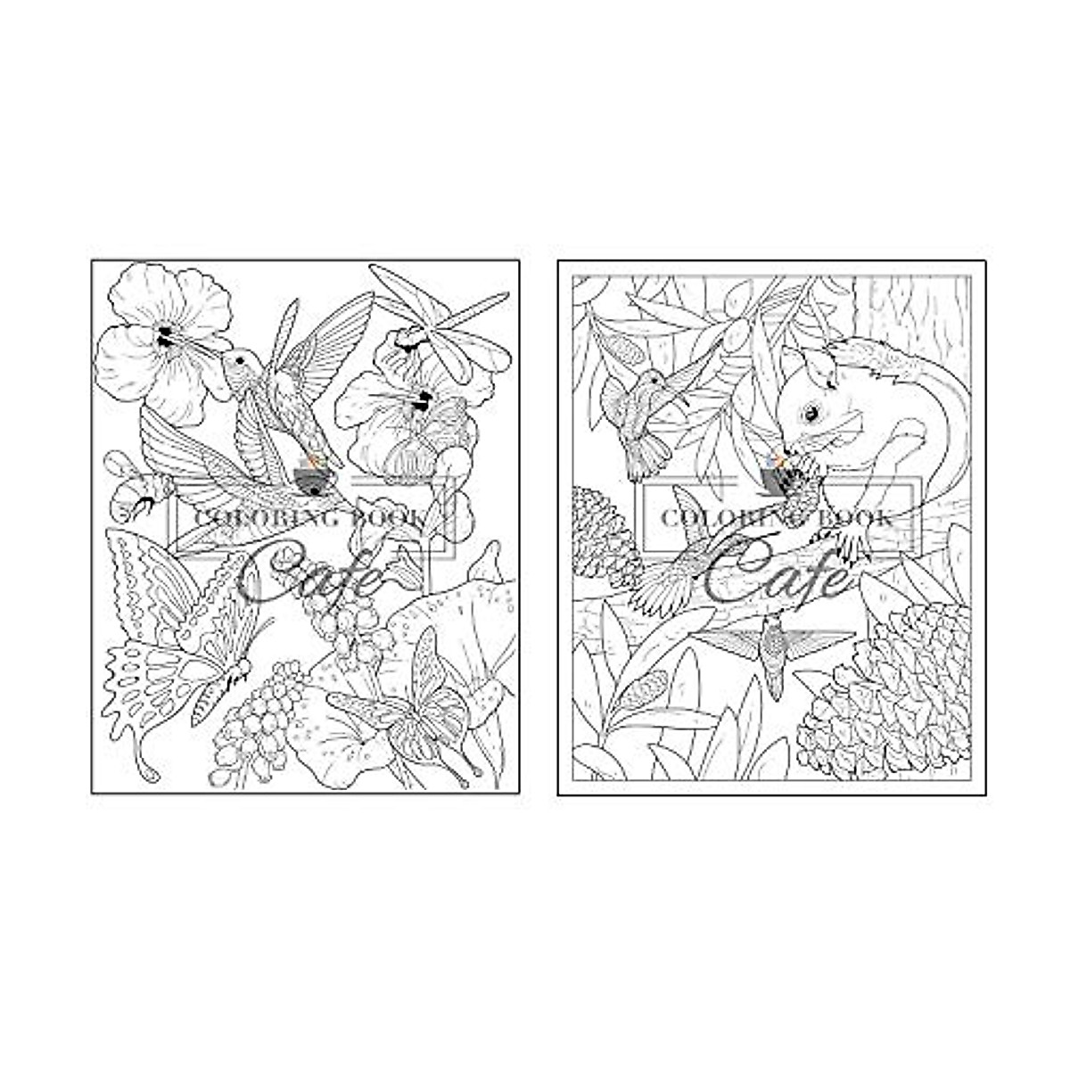 Hummingbird Coloring Book: An Adult Coloring Book Featuring Charming Hummingbirds, Beautiful Flowers and Nature Patterns for Stress Relief and Relaxation