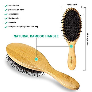 Natural Boar Bristle Wooden Bamboo Paddle Brush - Best Detangler for Women & Men's Curly and Thick Hair, Anti-Static, Reduces Hair Breakage