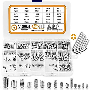 VIGRUE 300Pcs Set Screw Assorted M2.5/M3/M4/M5/M6/M8 Hex Allen Head Socket Grub Screw Assortment Kit with Internal Hex Drive, 304 Stainless Steel (Metric)