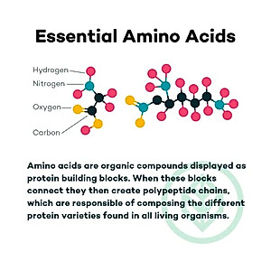 Fitleaf Leaf Vitality All Purpose 20-20-20 (3.52 oz) – Premium Foliar Feed Water Soluble Fertilizer to Spray for All Plants – Promotes Biomass Growth and Vibrant Leaf Color, Complete Plant Nutrition with Amino Acids (3.53 oz)