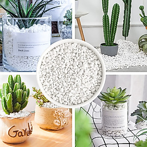 Malifea 2 QT Organic Perlite for Plants，Natural Horticultural Soil Additive Conditioner Mix，Improve Drainage and Ventilation, Promote Root Growth and Soil Health, Ideal for Potting Mixes