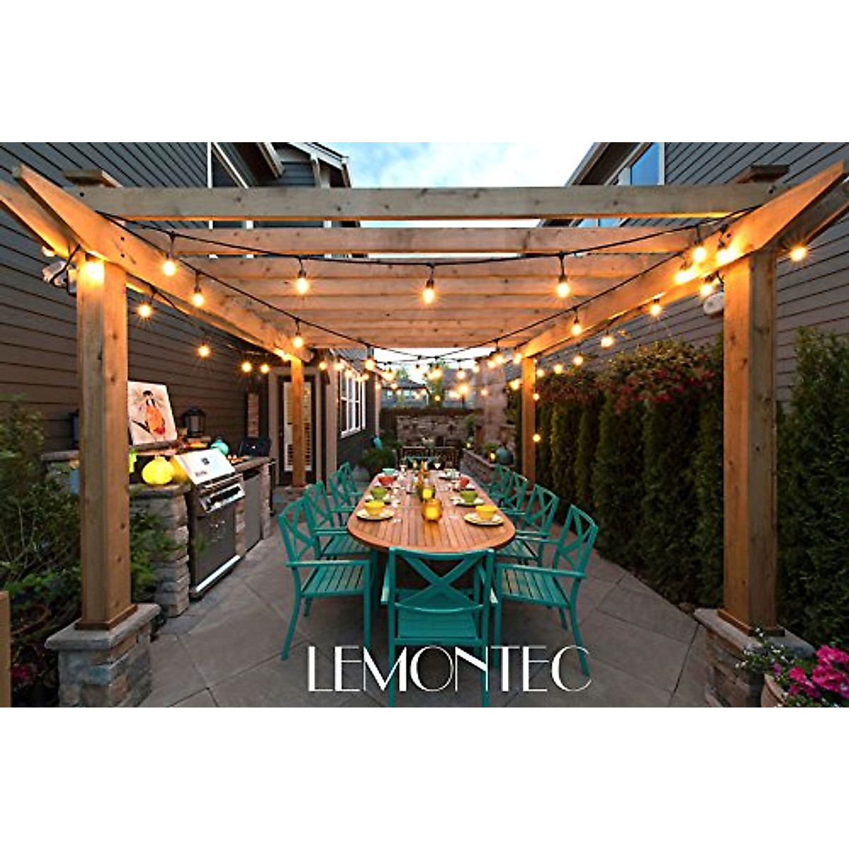 Lemontec Commercial Grade Outdoor String Lights with 15 Hanging Sockets - 48 Ft Black Weatherproof Cord Weatherproof Strand for Patio Garden Porch Backyard Party Deck Yard – S14 Black