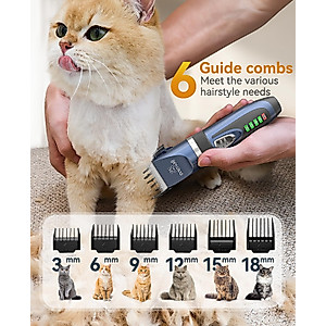 oneisall Cat Clippers and Paw Trimmer 3 in 1,Cat Grooming Kit,Cat Clippers for Matted Hair,Cordless Cat Shaver for Matted Long Hair,2 Speed Cat Hair Trimmer,Pet Clippers for Cats and Small Dogs