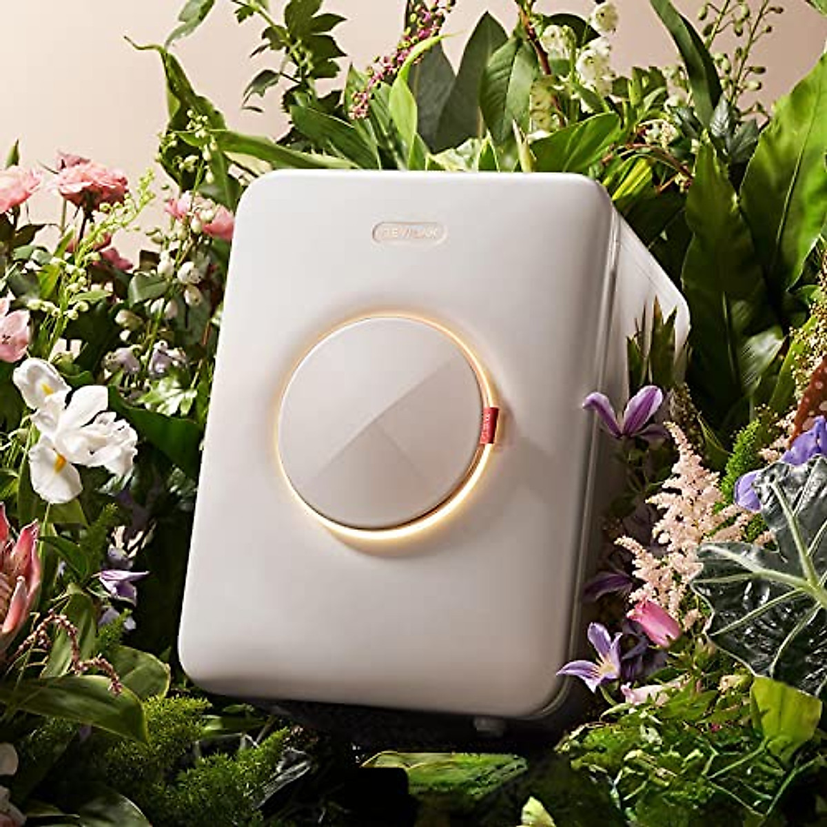 TCHPCFZ Skincare Small Refrigerator, Suitable For Bedroom, Car, Desk And Dormitory Storage Makeup Skincare Products Beauty Mask Professional Constant Temperature Preservation white