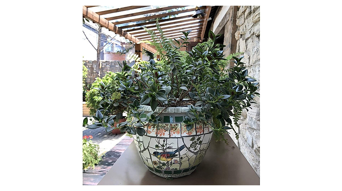 UimimiU Large Outdoor Flower Pot - Handmade Ceramic Mosaic Vase