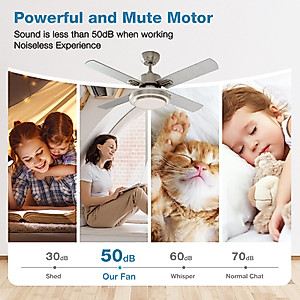 warmiplanet Ceiling Fan with Lights Remote Control, 44 Inch, Brushed Nickel Motor (4-Blades)