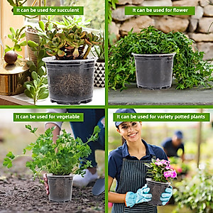 Oubest 50Pcs Clear Nursery Pots Variety Pack Plastic Pots for Plants Orchid Potting 3.5 5 6 Inch Mix Seedling Pots with Drainage Holes Indoor Outdoor Flower Pots