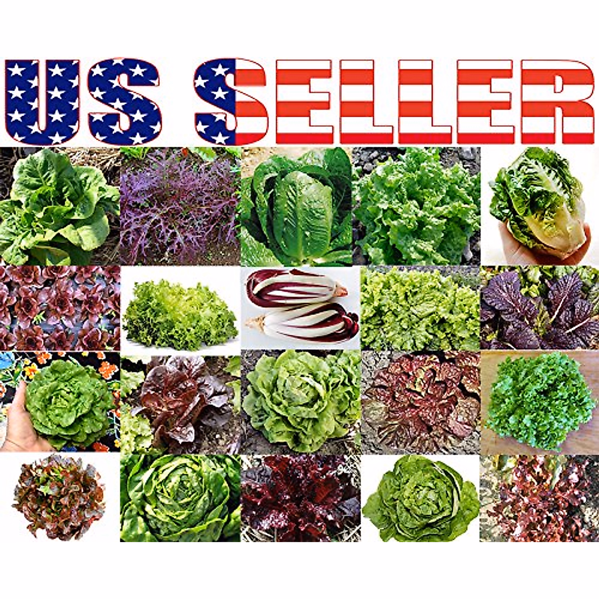 Please Read! This is A Mix!!! 1000+ Lettuce Mix 21 Varieties Seeds Heirloom Non-GMO. Seeds are not Individually Packaged!