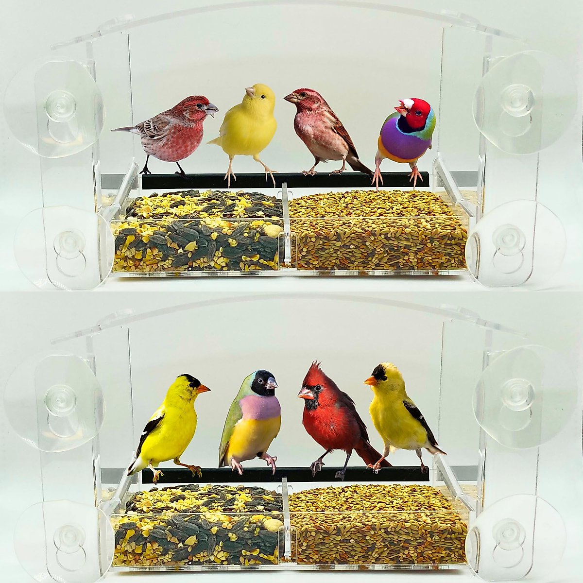 GoGiffy (2-Pack) Acrylic Window Bird House Feeders for Outside Viewing | Large Capacity with 4 Strong Suction Cups | Removable Seed Tray with Drain Holes | Easy to Refill & Clean | Squirrel Chew Proof