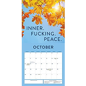 2023 Chill the F*ck Out Wall Calendar: Find Calm and Get a Fresh F*cking Start This Year (Funny 12-Month Calendar, White Elephant Gag Gift for Adults)