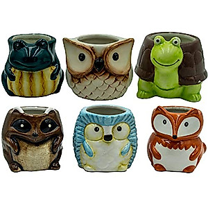 Matty's Garden Animal Ceramic Succulent Planters Set of 6 | 2.5 Inch Small Cactus Pots with Drainage Hole Raccoon Owl Turtle Hedgehog Frog Fox