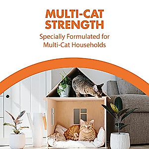 ARM HAMMER Naturals Cat Litter, Multi Cat, 18lb Bag