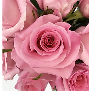 Farm Direct Fresh Pink Roses for Mother's Day | Pink Rose Flower Bouquet of 12 Fresh Roses (Dozen) + Vase Included - Roses for Delivery
